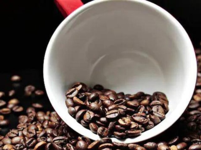 Jacu Bird Coffee, Grown In Brazil’s Camocim Estate, Costs A Staggering ...