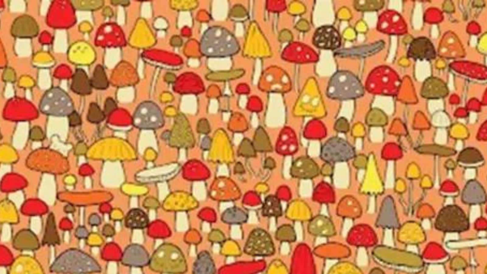 Optical Illusion: Can You Find The Little Mouse Hidden In This Maze Of ...