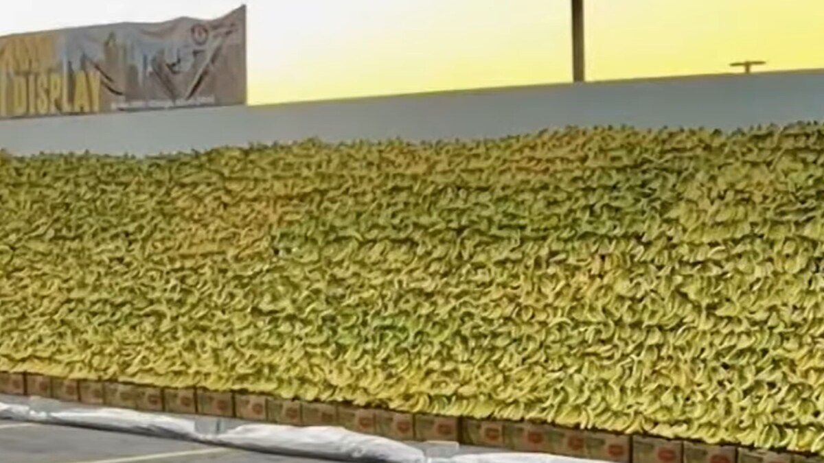 US Grocery Store Sets Record for World's Largest Fruit Display of ...