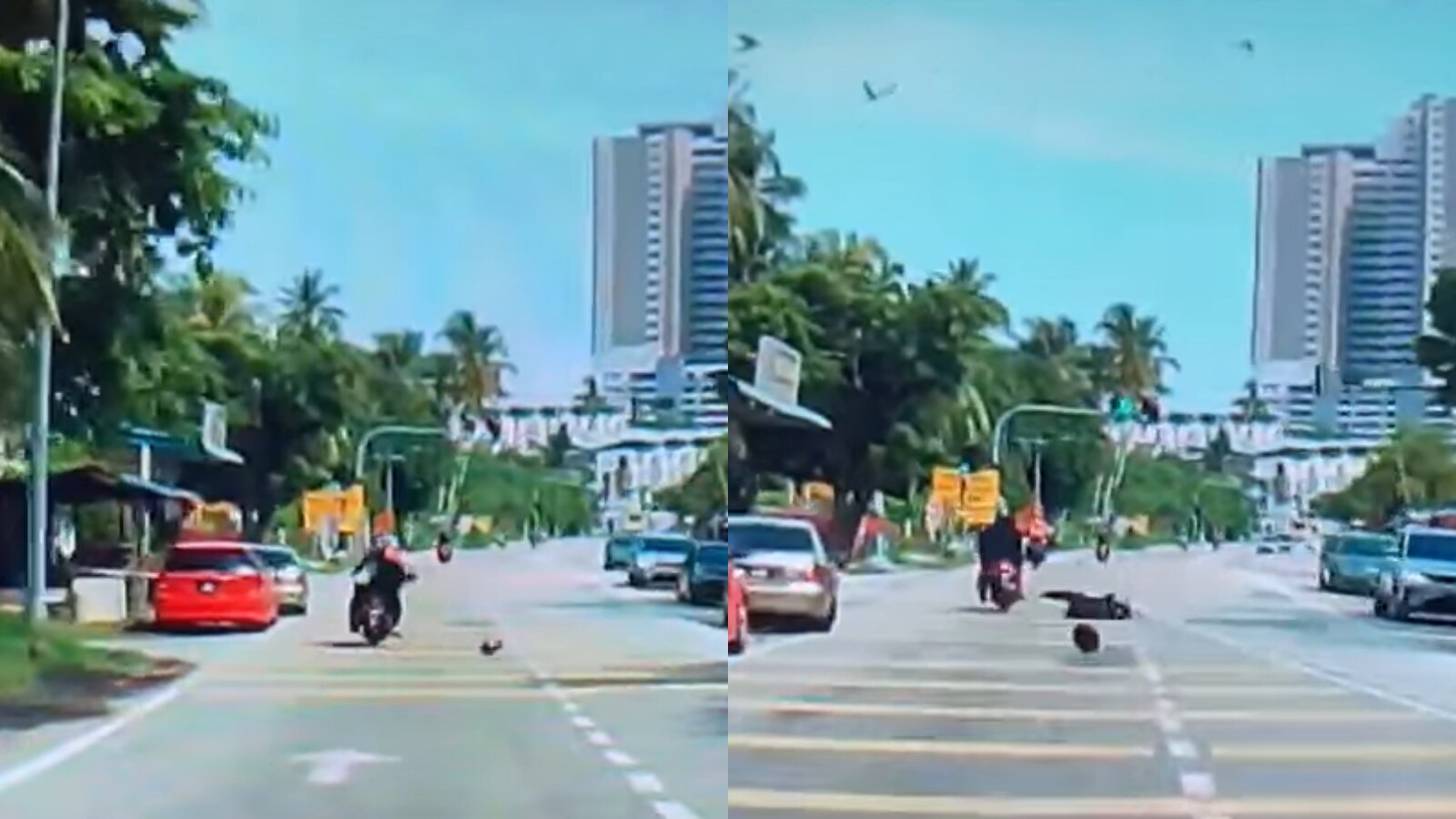WATCH: Woman Escapes Death as Giant Coconut Falls on Her While Riding ...