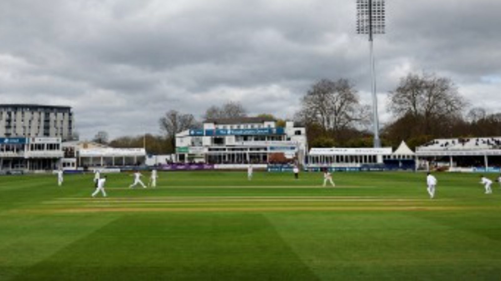 USA vs UAE Dream11 Team Prediction: Check Captain, Vice-Captain, and ...