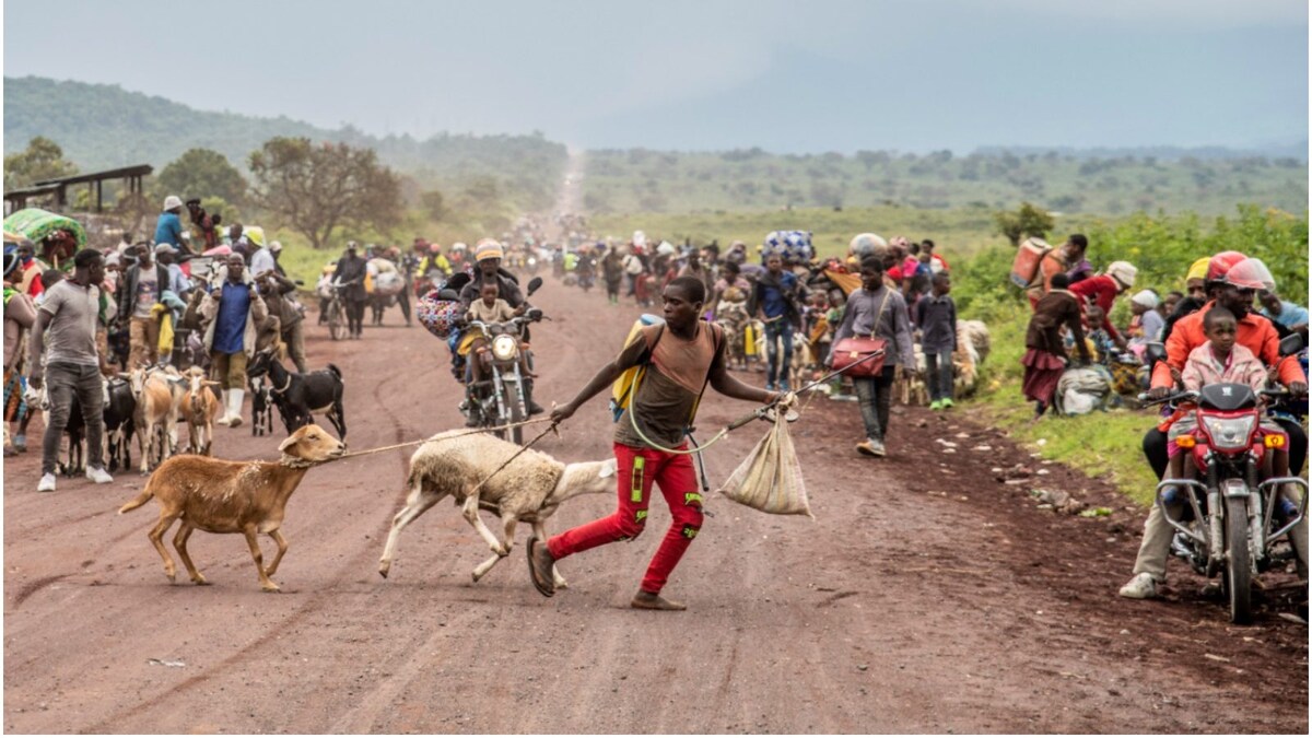 NEWS18 EXPLAINS: Why Rwanda and Congo are Sliding Toward War Again - News18