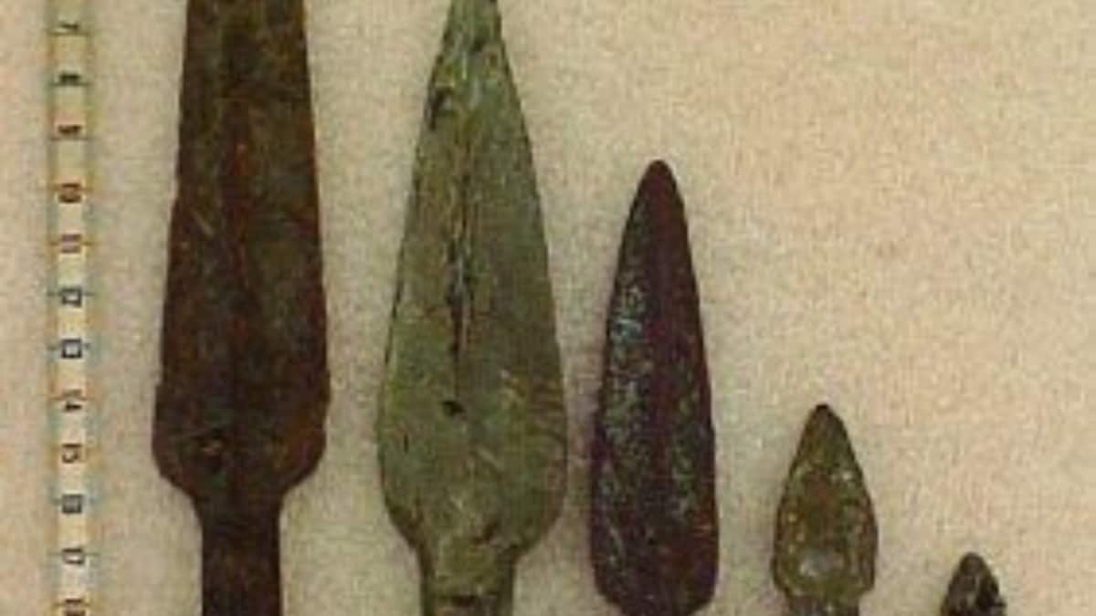 Agra Farmer Discovers 4,000-year-old Copper Weapons Buried Under a ...