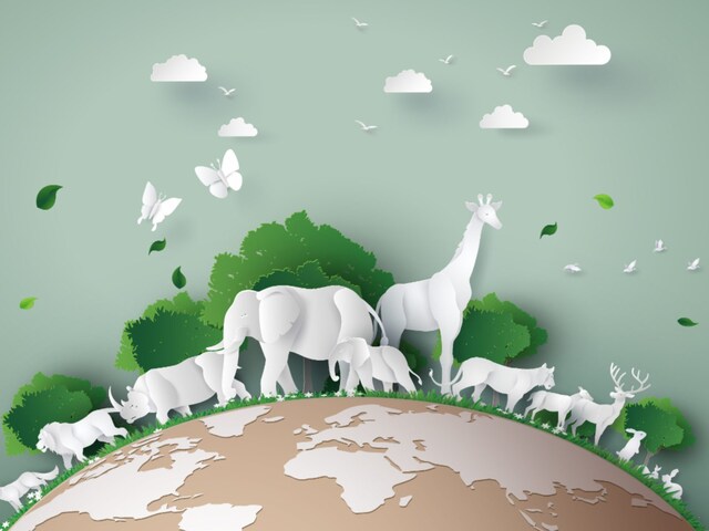 World Environment Day 2022: Follow These Practices In Daily Life To ...