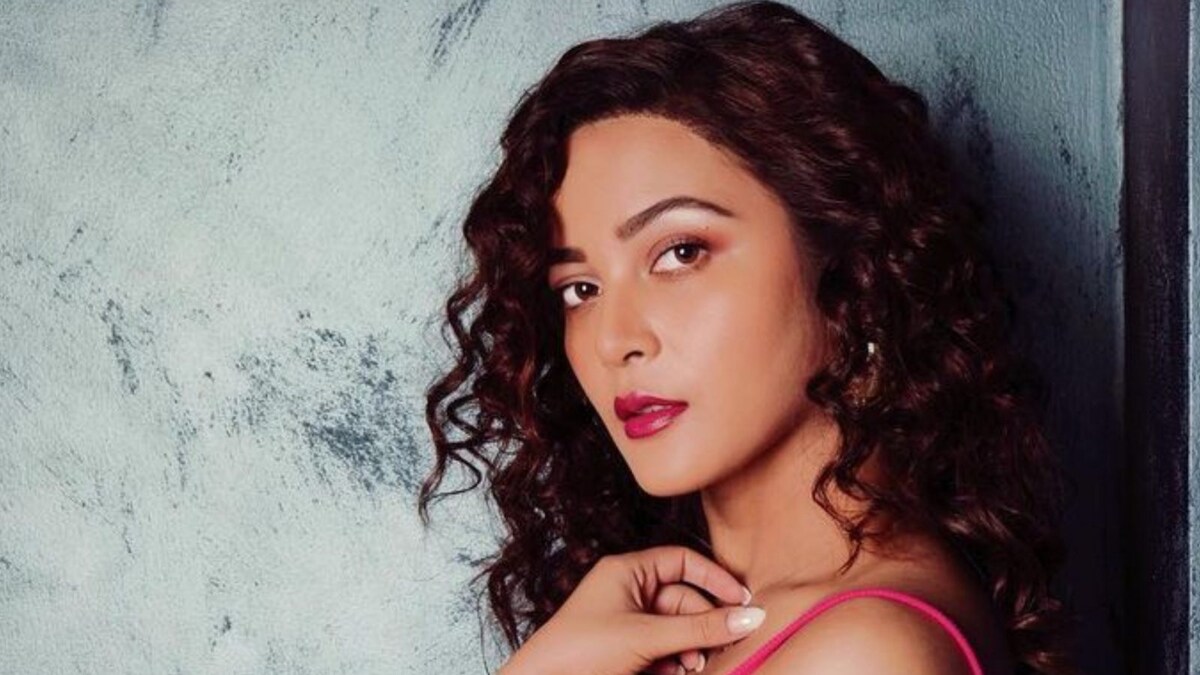 Ziddi Dil Maane Na Actor Kaveri Priyam Approached For Bigg Boss 16 ...