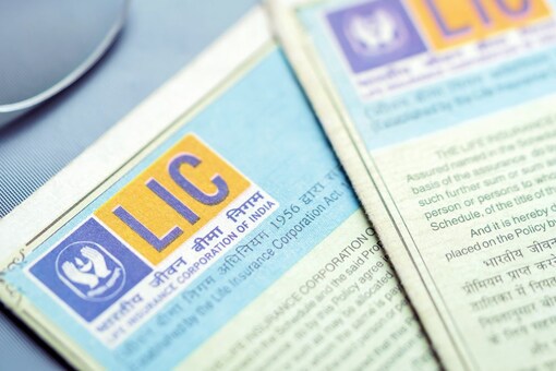 LIC Policy: Get Rs 36,000 Return Each Year Until Age of 100 if You ...