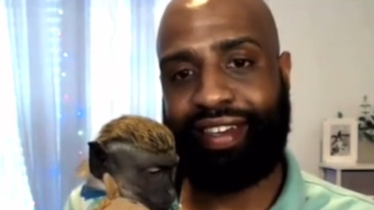 Have You Ever Watched Monkey Get a Haircut? Viral Video is Here to ...