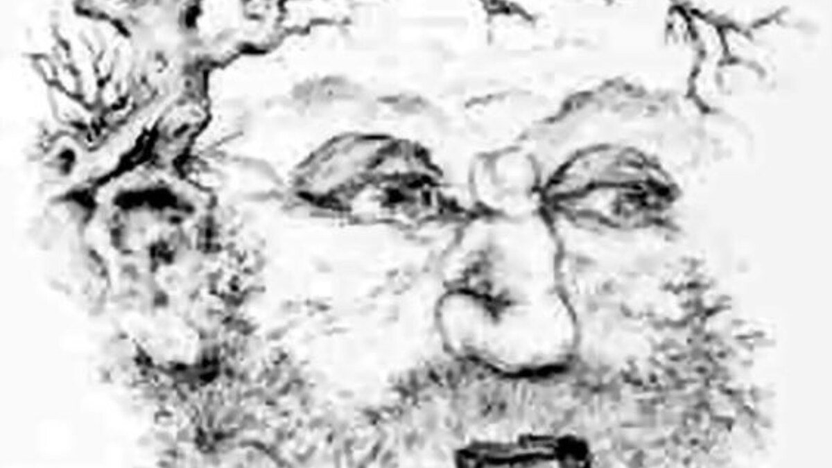 Can You Spot a Girl in this Optical Illusion? If You Do, You are Among ...