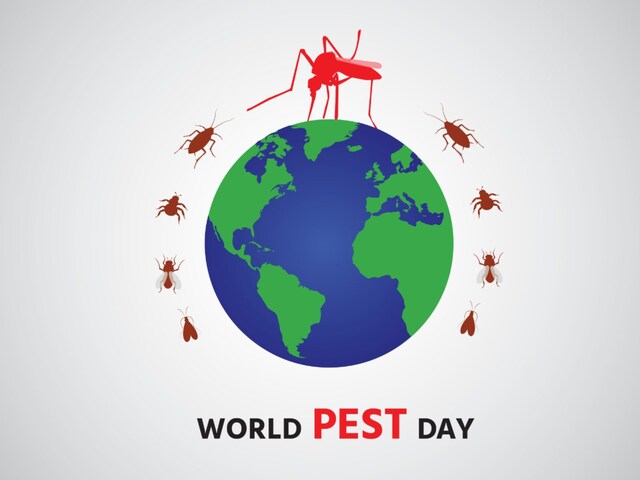 World Pest Day 2022: All You Need to Know - News18