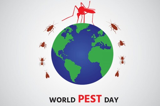 World Pest Day 2022: All You Need to Know - News18