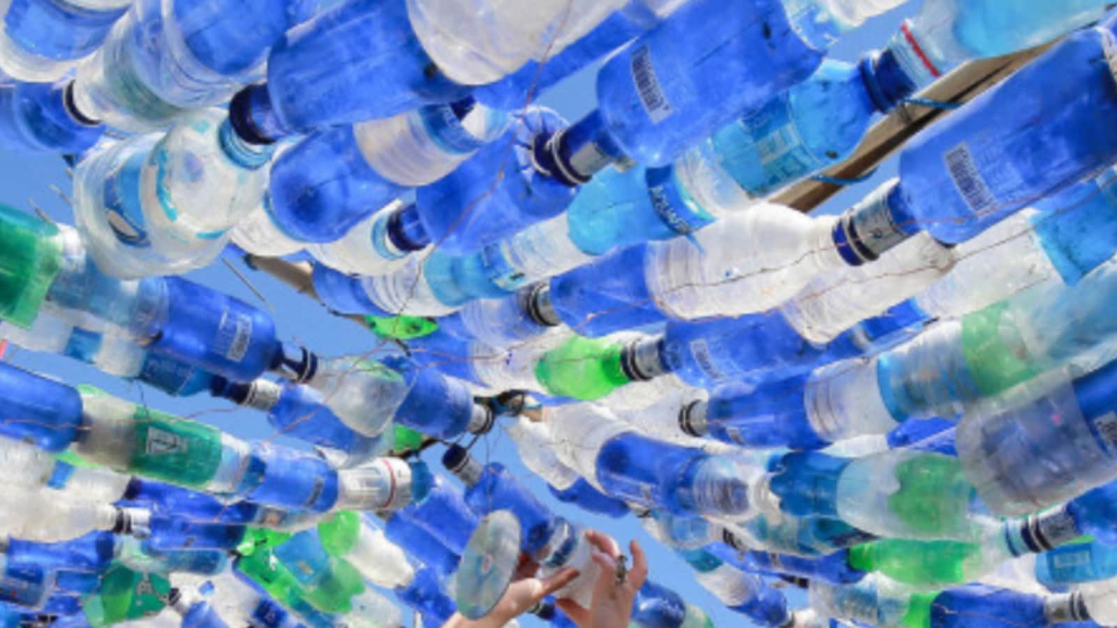 Jordan Artist Turns Plastic Trash into Eye-catching Art With a Message ...