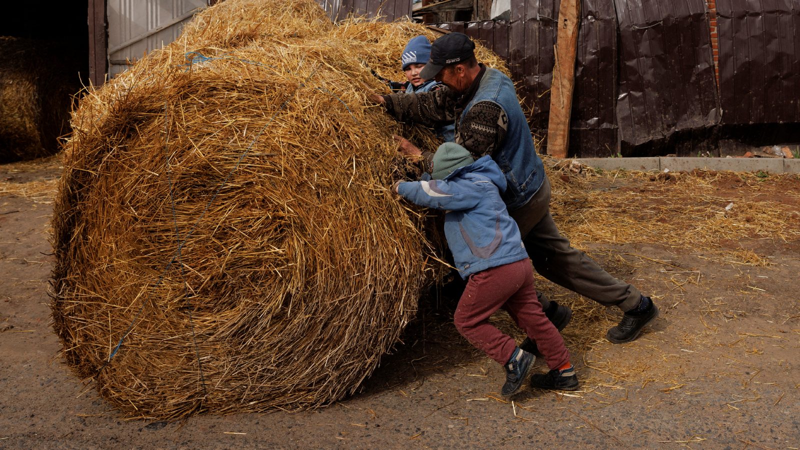 Ukraine Lost Quarter Of Its Arable Lands To Russian Invasion, War ...