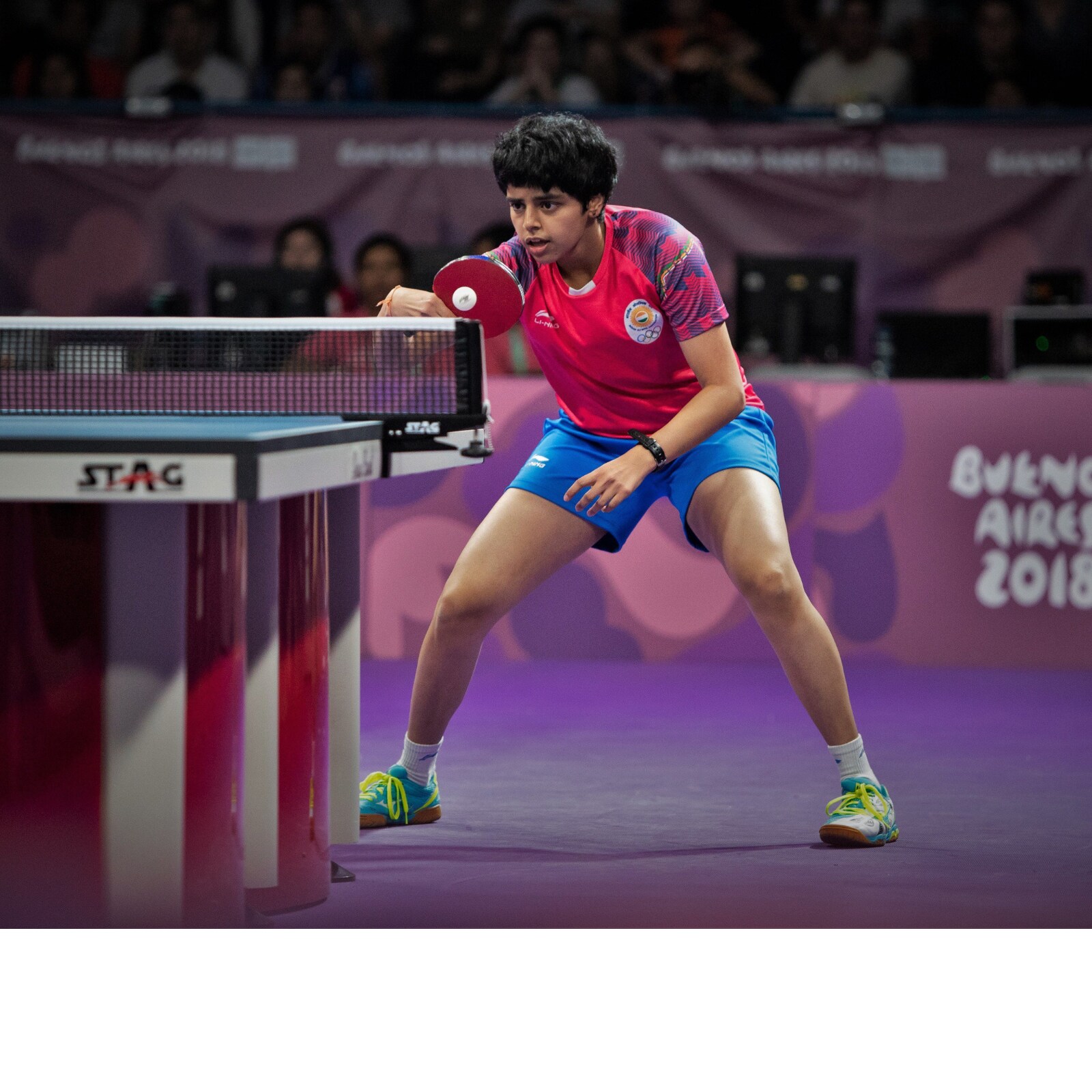 Sports Table Tennis