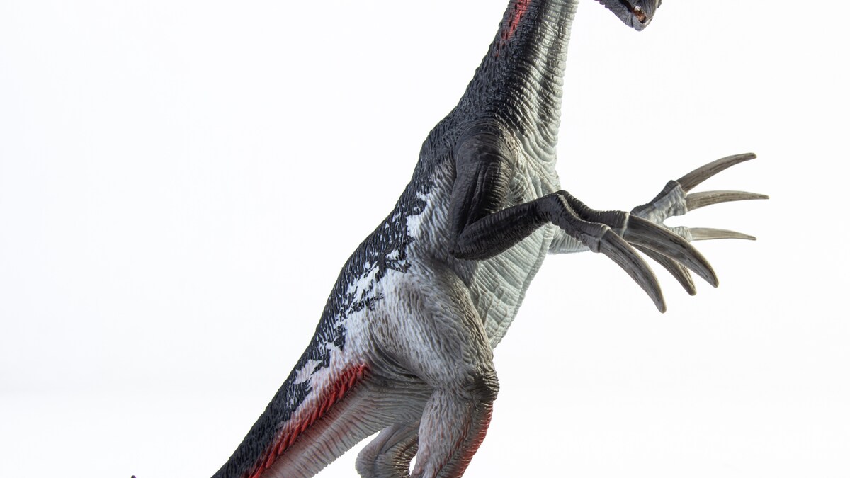 Japan Scientists Unearth Giant Fossil of Dinosaur 'Reaper' with Knife ...