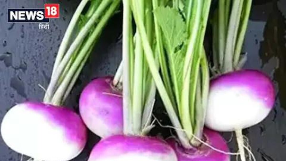 Reasons Why You Must Include Turnip In Your Daily Meal - News18