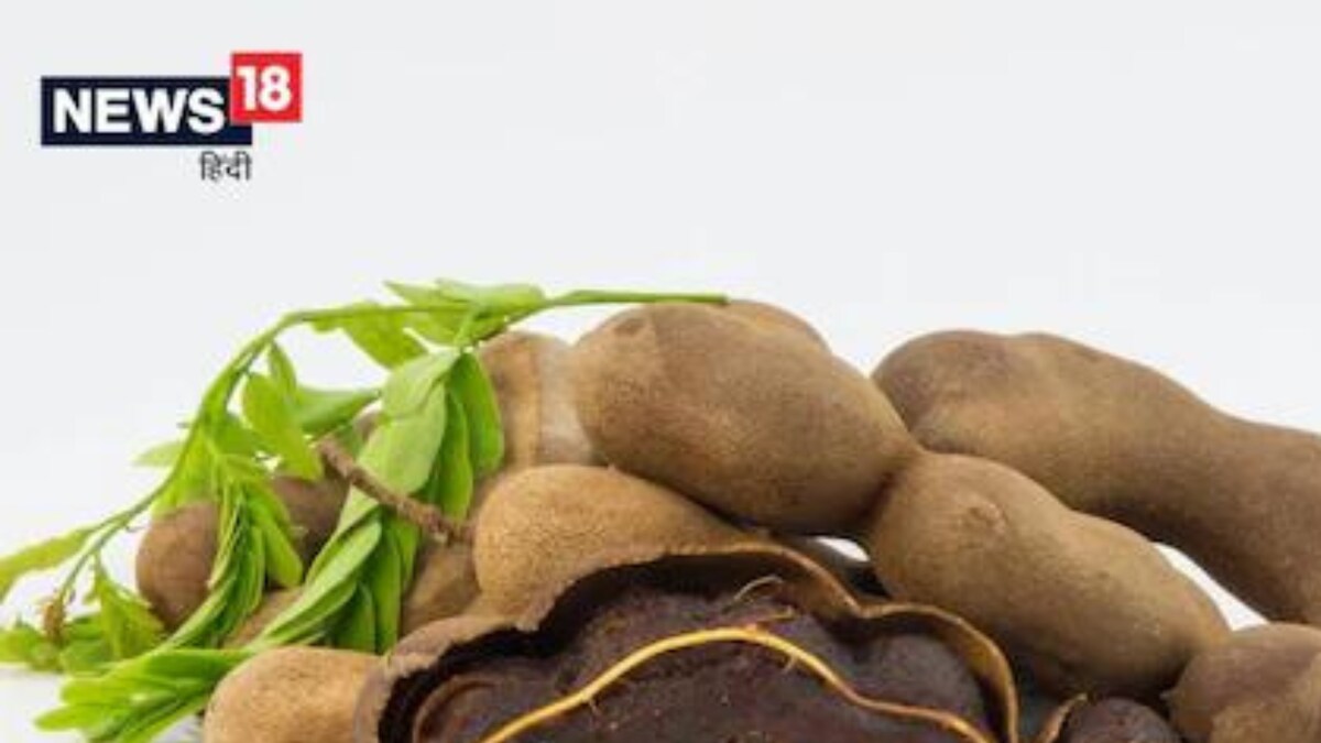 From Shelter To Spirits, Astonishing Facts About Tamarind Tree - News18