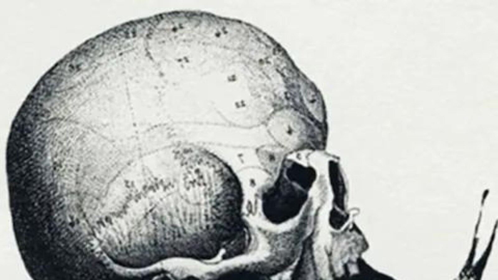 Clueless About What You Can Be Good At? This Brain Teaser Will Help You ...