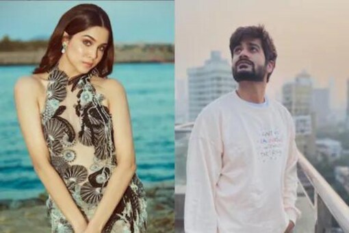 What Sunny Kaushal Said About Sharvari Wagh's Debut of The Year IIFA ...