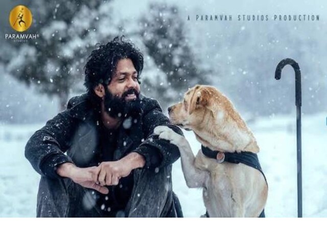 How 777 Charlie Director Kiranraj K Identified The Dog For His Film ...
