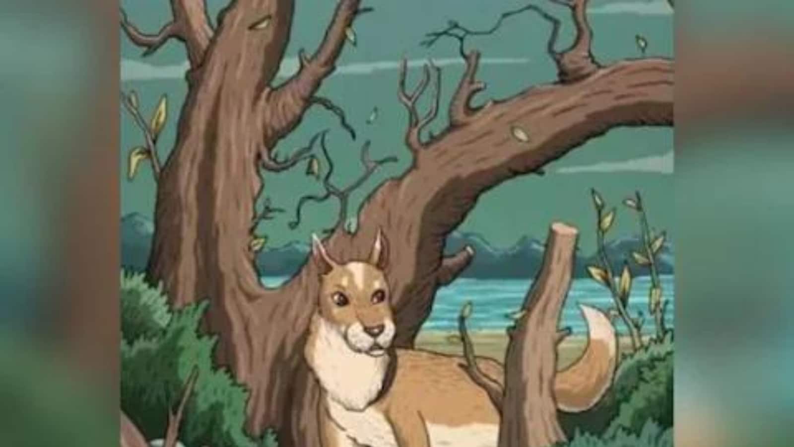 Optical Illusion: Find The Cat Which Isn't There But Still There | Buzz ...