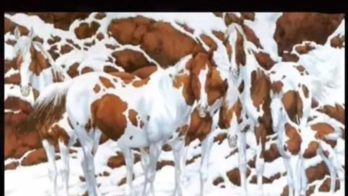 How Many Horses Can You Identify in This Optical Illusion? Only 1% Get ...