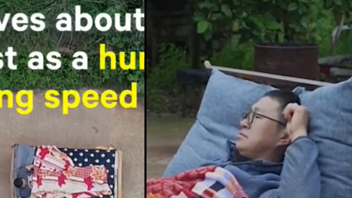 Man Builds Bed With Wheels in China, Unlocks New Levels of Comfort - News18