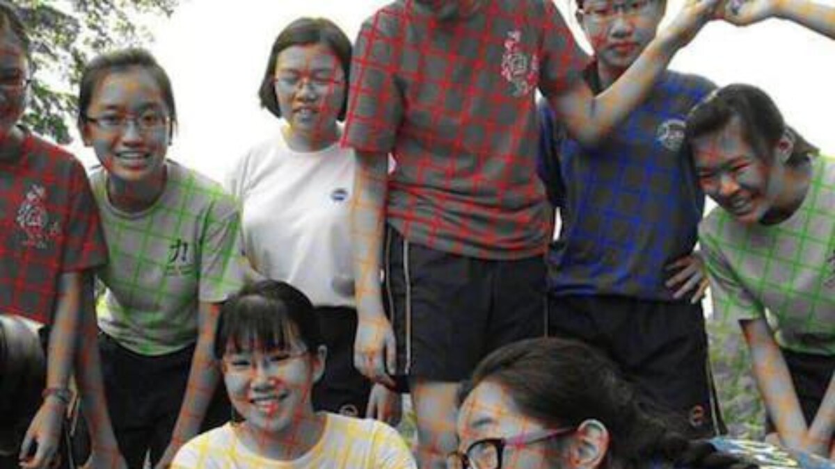 This Mind-Boggling Colour Assimilation Grid Illusion Puzzle Has Stumped ...