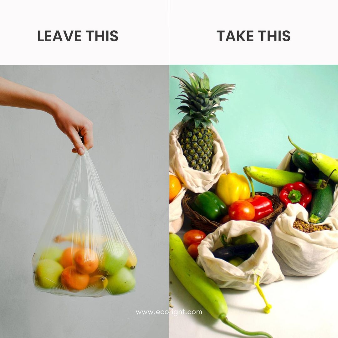 Plastic Alternatives To Add Your Lifestyle on International Plastic Bag ...