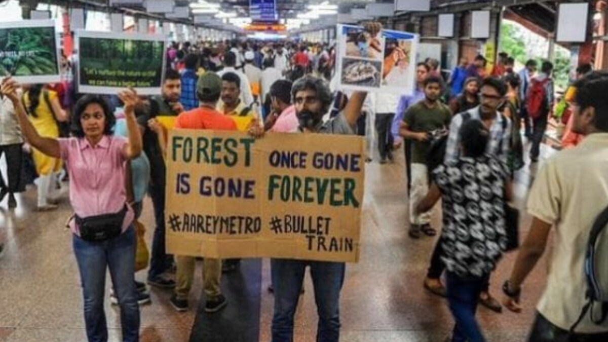 MMRCL Backtracks on Tree Felling in Aarey, Seeks Permission to Cut 84 ...