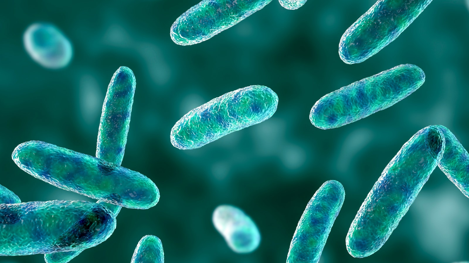 Bacteria May Help Make Sustainable Biofuel Powerful Enough to Launch ...