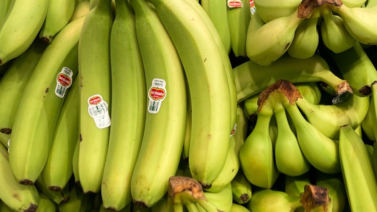 NEWS18 EXPLAINS: Why US Inflation is So High, and When It May Ease - News18