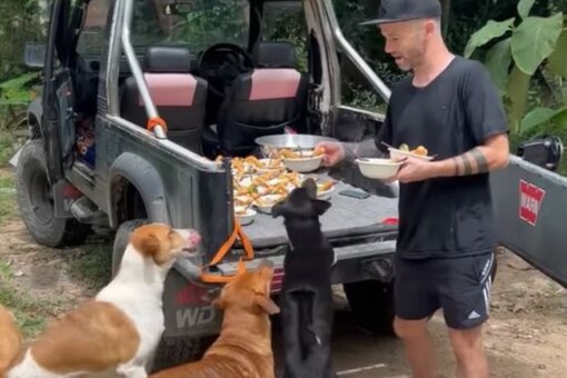 WATCH: Celebrity Chef Prepares Special Sunday Treat for Street Dogs in ...