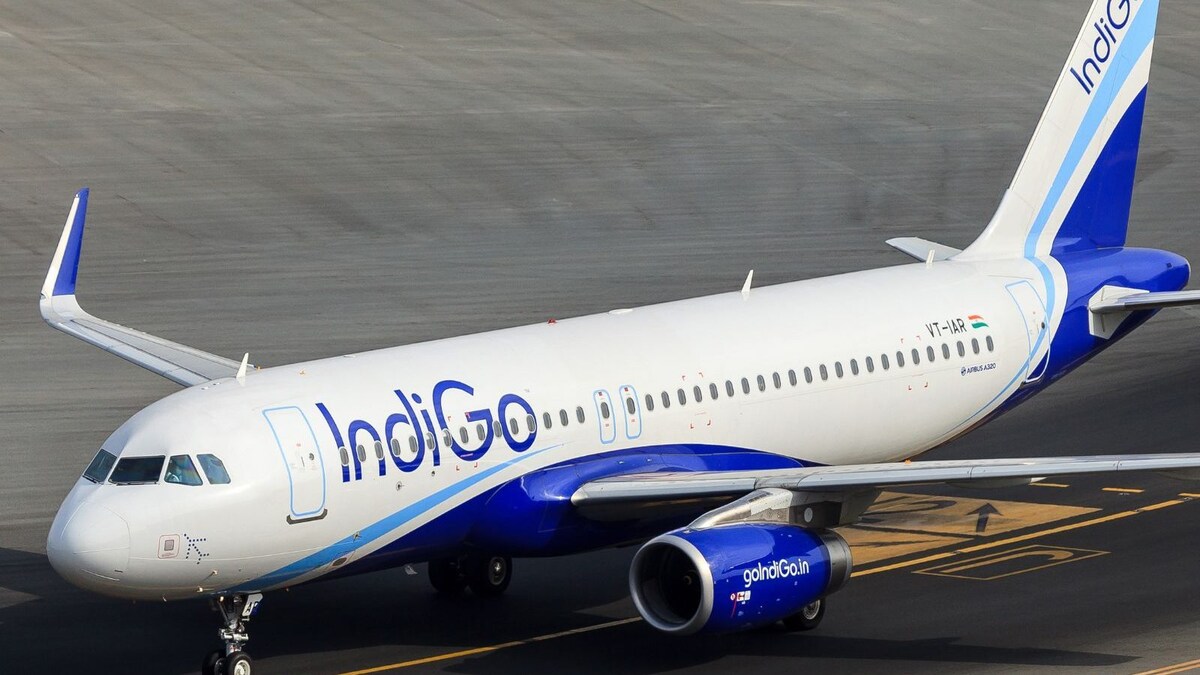 'Being Cute is Taxable': IndiGo Charges Passenger 'Cute' Fees, Internet ...