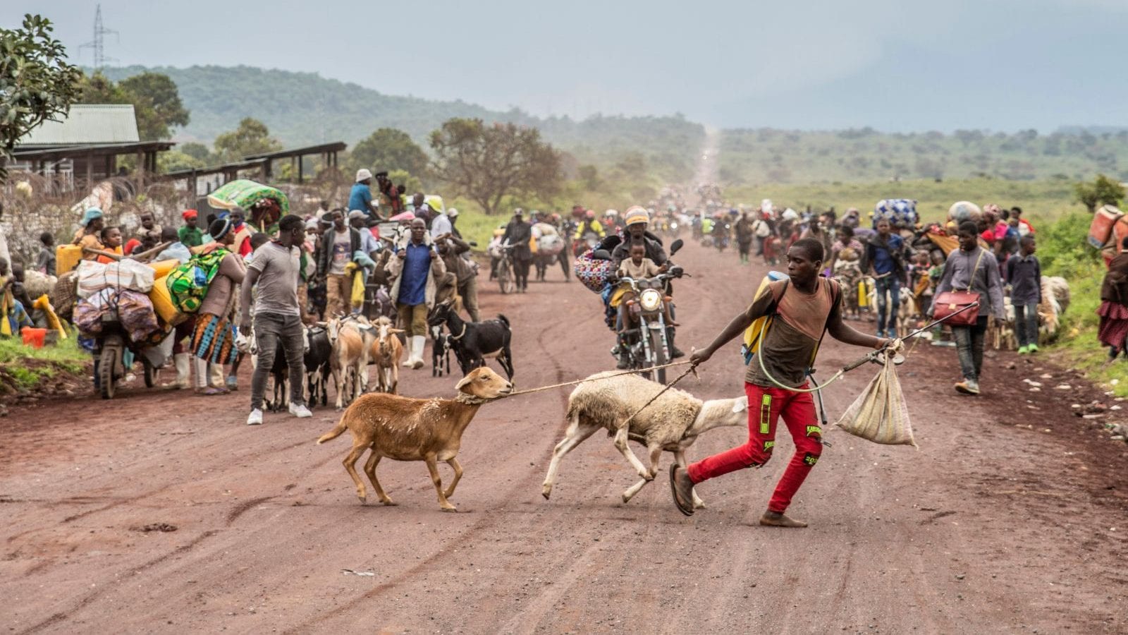 2 BSF Personnel Killed in Congo in Anti-UN Protests; India Says ...