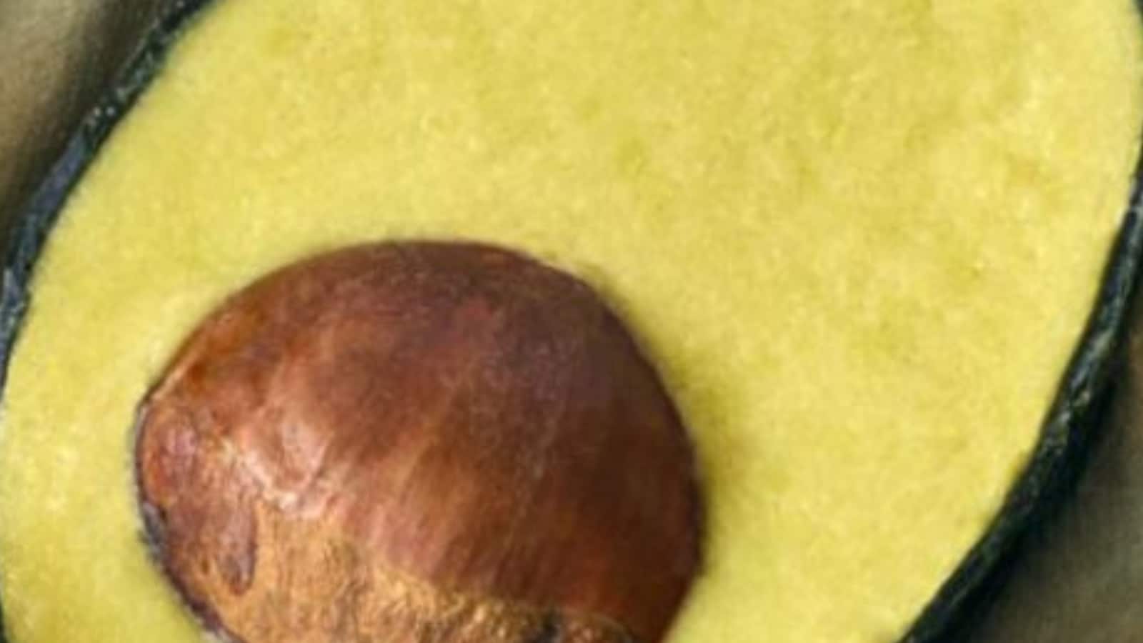 Avocado But Better: 'Evocado' Tastes Just as Good and Doesn't Harm ...