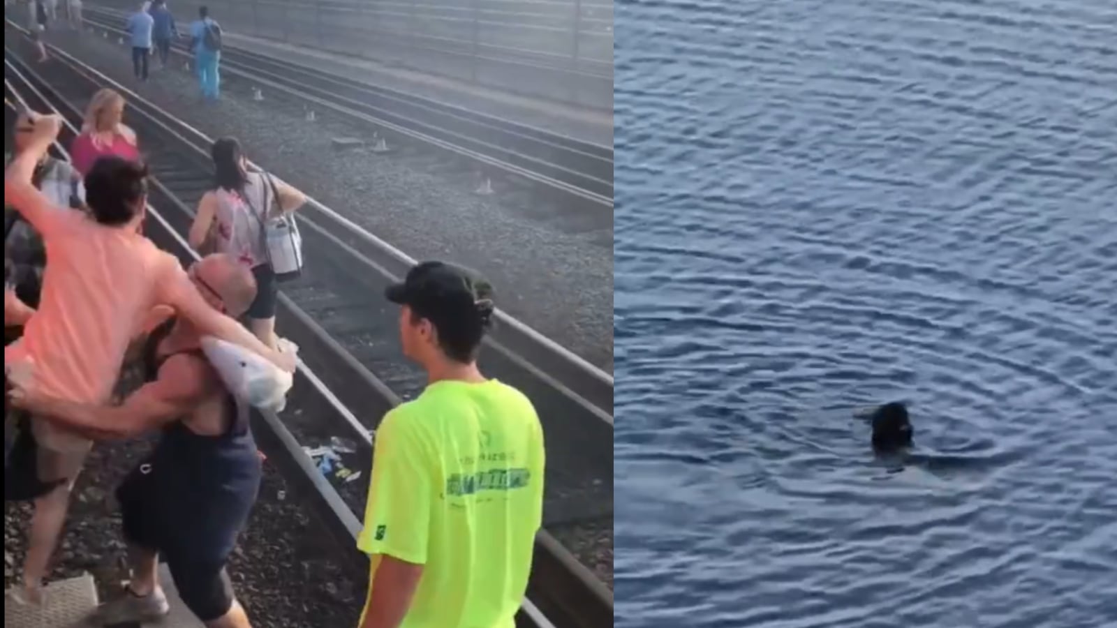 Woman Jumps into River After Boston Train Catches Fire, Lives to Tell ...