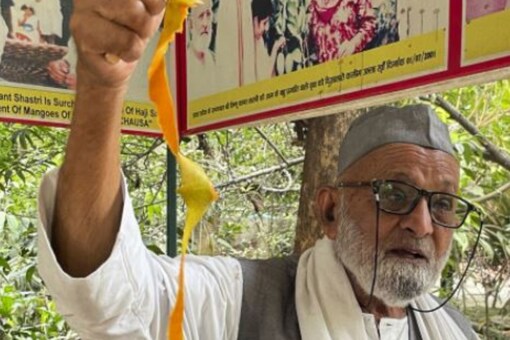 Layered Anarkali to Crimson Aishwarya: India's Mango Man Grows 300 ...