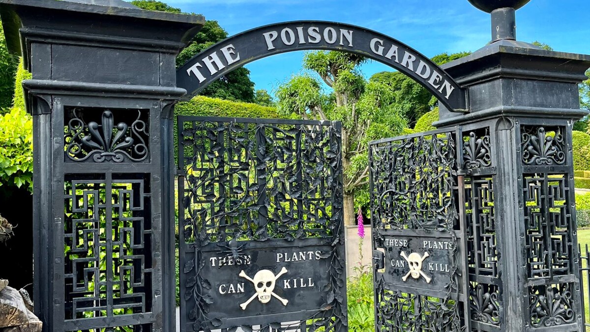 England's Deadly Poison Garden Forbids You From Touching, Smelling or ...