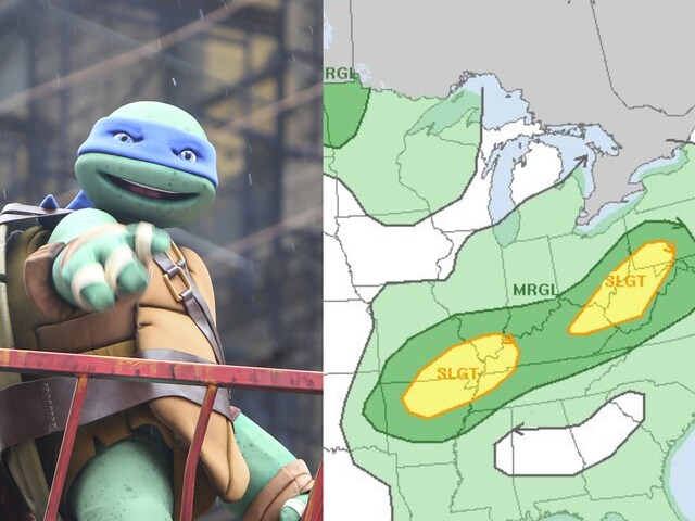 Why is it Grinning? People Spot Teenage Ninja Mutant Turtle in Weather ...