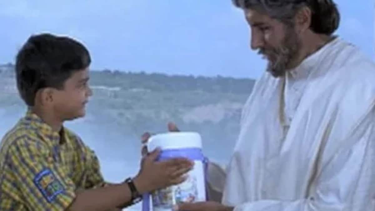 Ananda Vardhan, Amitabh Bachchan's Grandson in Sooryavansham, Now Well ...