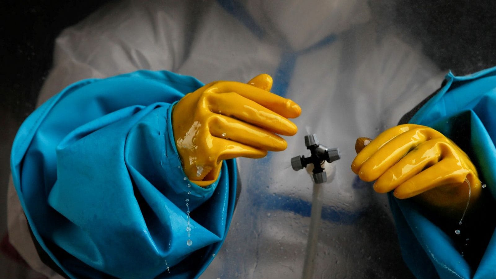 India's 'Green' Ban Takes Place Within Covid Confines: A Dive Into ...