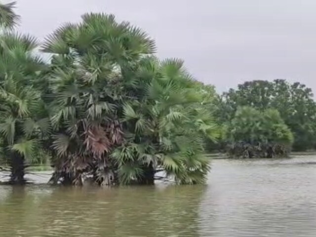 Andhra Pradesh: Polavaram Project Impacts Low Lying Areas of Malkangiri ...