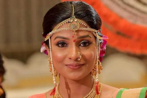 Marathi Actress Amruta Pawar Ties Knot With Neil Patil; See Pictures ...