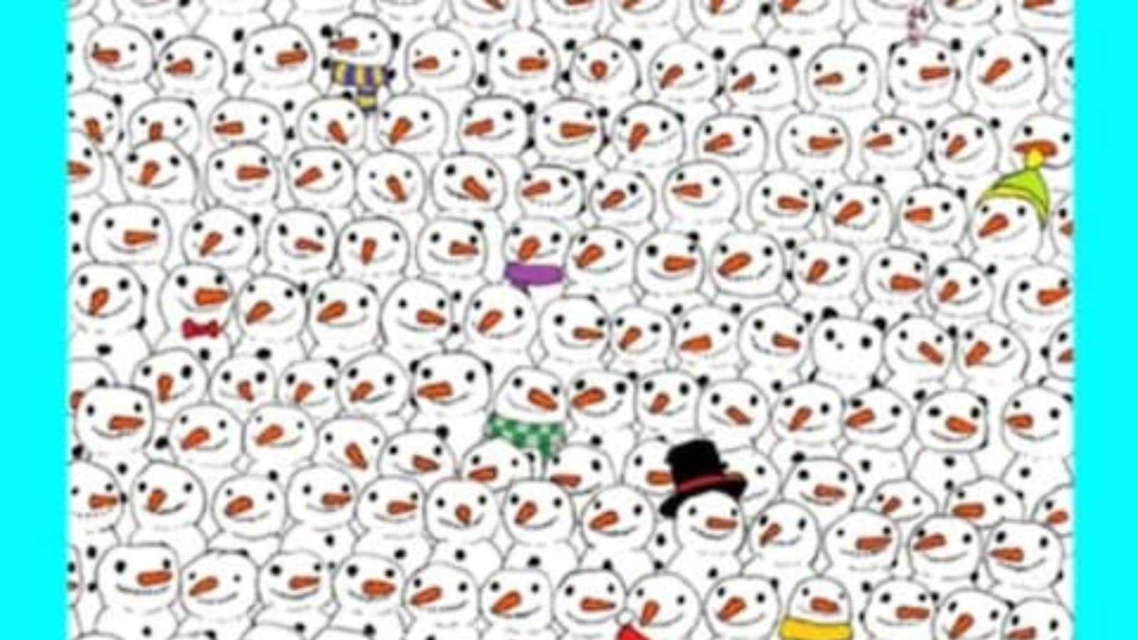 Optical Illusion: Can You Find a Hidden Panda Among Snowmen in This ...