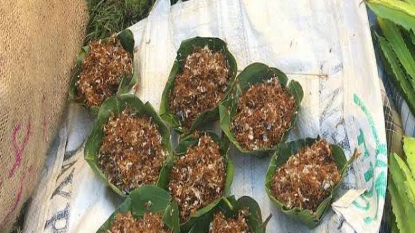 Odisha: Mayurbhanj's Red Ant Chutney, Loaded With Health Benefits ...