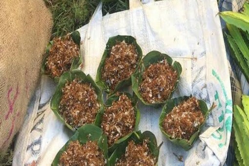 Odisha: Mayurbhanj's Red Ant Chutney, Loaded With Health Benefits ...