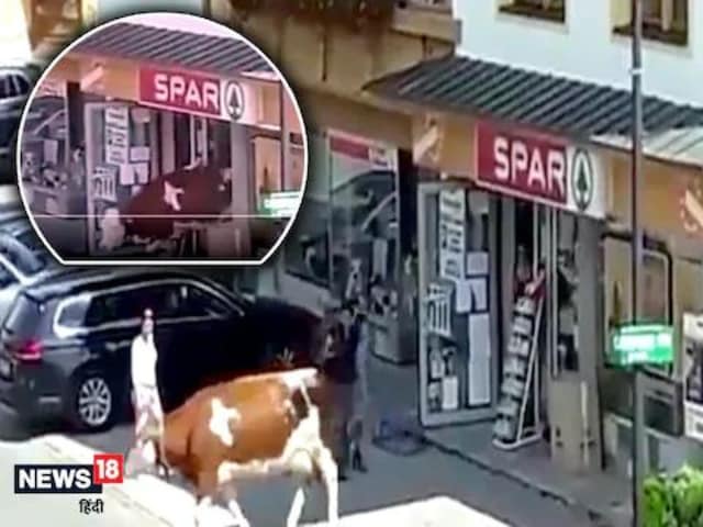 Watch: Cow Enters Austrian Shop, Netizens Can't Stop Laughing - News18