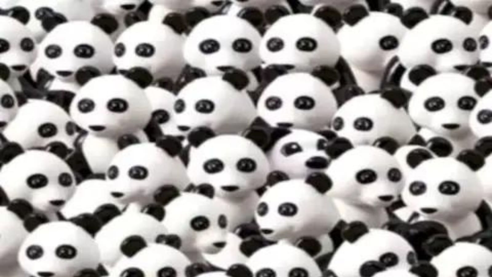 Optical Illusion: Can You Spot The Puppy Hidden Among Pandas In 20 ...