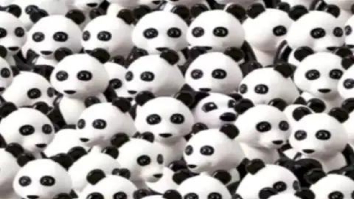 Optical Illusion: Can You Spot The Puppy Hidden Among Pandas In 20 ...