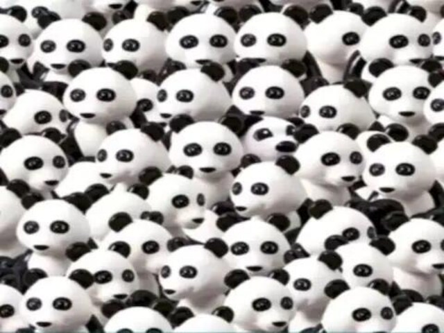 Optical Illusion: Can You Spot The Puppy Hidden Among Pandas In 20 ...